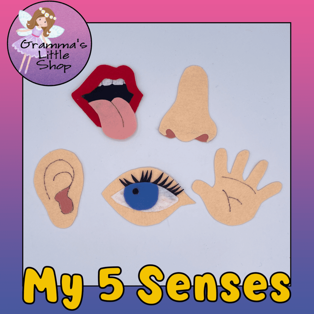 5 Senses Felt Craft Set: 5 Items for Each Sense, Directions, and ...